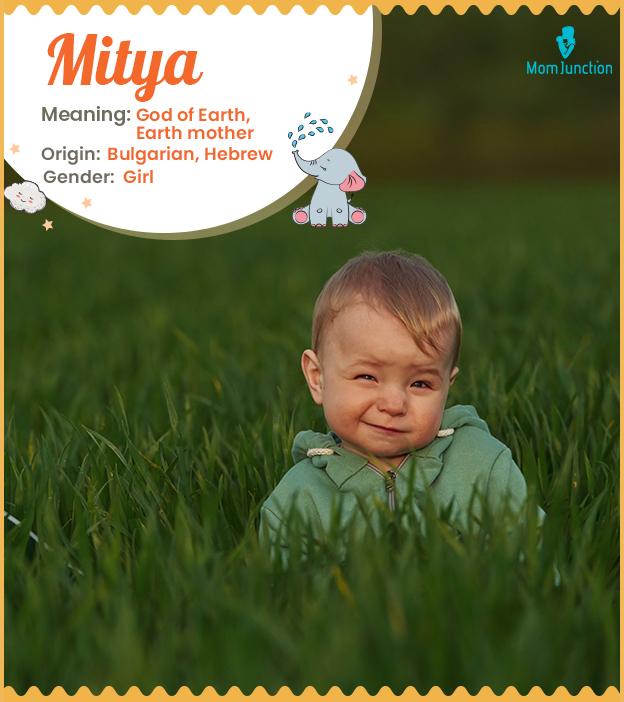 Mitya Meaning, Origin, History, And Popularity