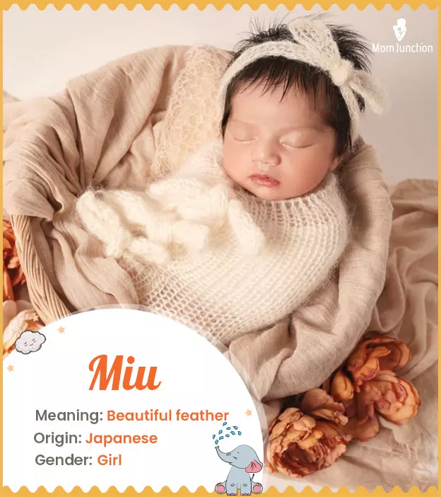Miu Name, Meaning, Origin, History, And Popularity
