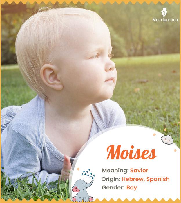 Moises Name Meaning, Origin, History, And Popularity