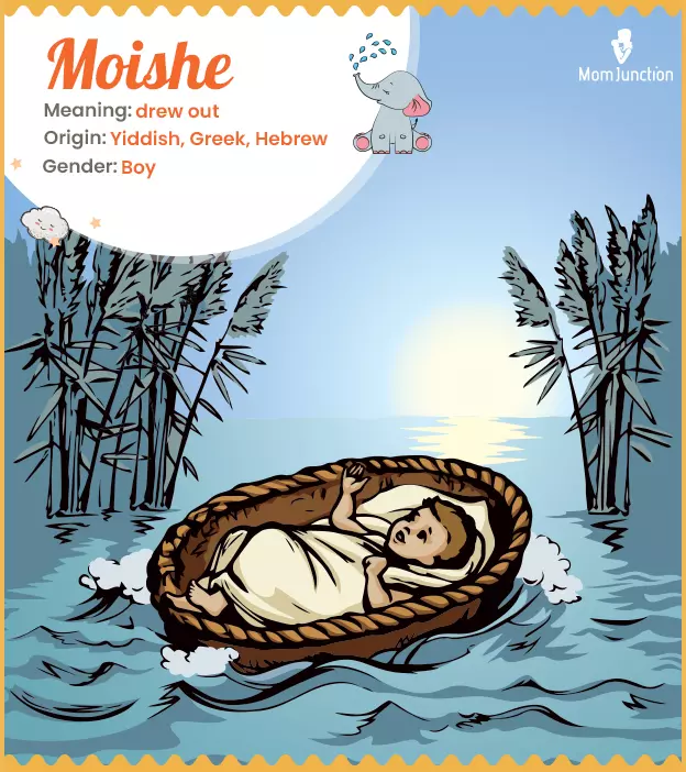 Moishe Name Meaning, Origin, History, And Popularity