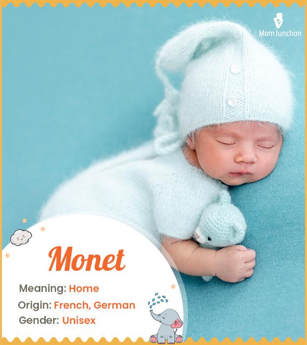 Merlin Name Meaning, Origin, History, And Popularity