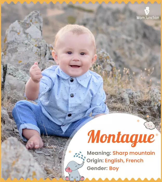 Explore Montague: Meaning, Origin & Popularity