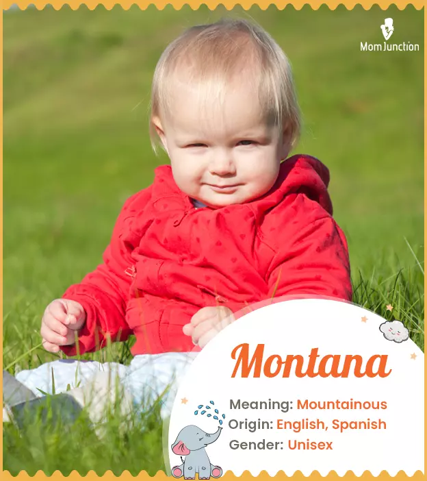 Explore Montana Name Meaning And Origin: A Comprehensive Guide: Meaning ...