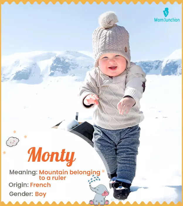 Monty Name Meaning, Origin, History, And Popularity