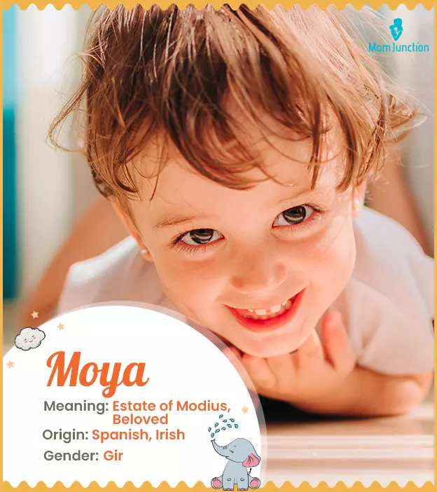 Moya Name Meaning, Origin, History, And Popularity