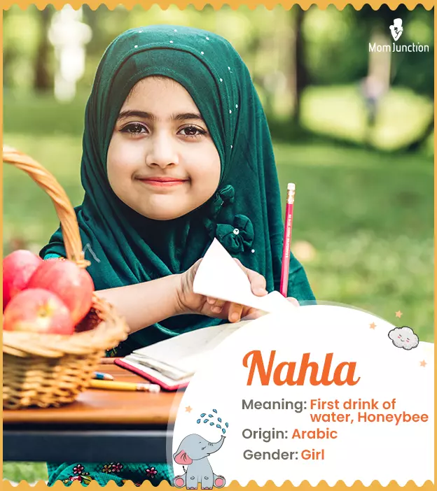 Nahla Name Meaning, Origin, History, And Popularity