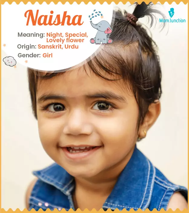 Naisha Name Meaning, Origin, History, And Popularity