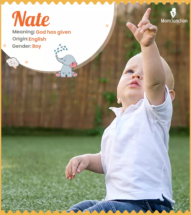 Nate Meaning, Origin, History, And Popularity