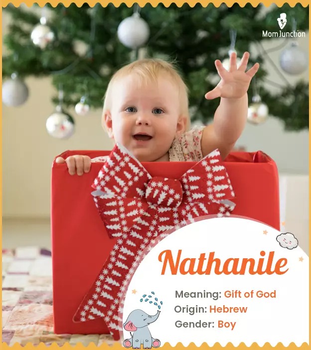 Nathaniel Name, Meaning, Origin, History, And Popularity