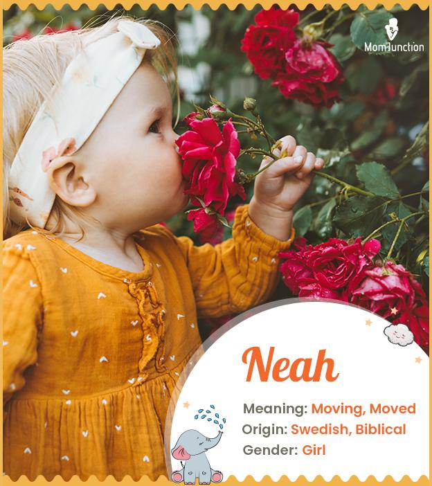 Neah Name, Meaning, Origin, History And Popularity