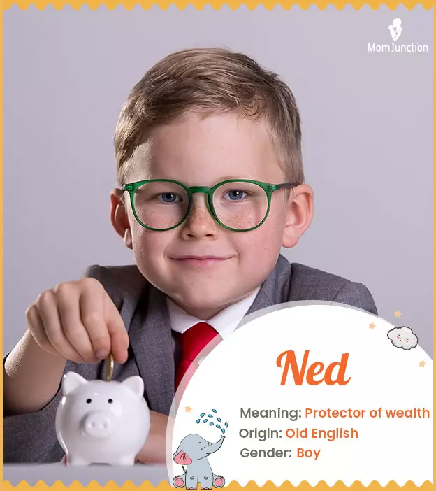 Ned Name Meaning And History: A Comprehensive Guide