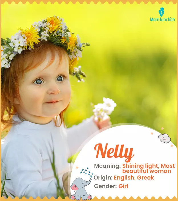 Nelly Name Meaning, Origin, History, And Popularity
