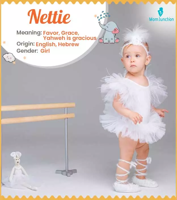 What Is Nettie