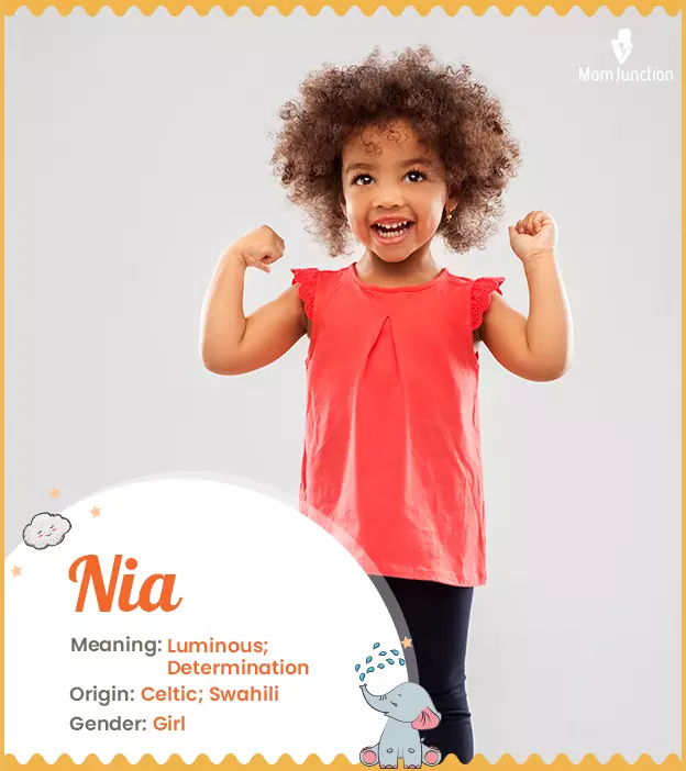 Nia Name Meaning, Origin, History, and Popularity
