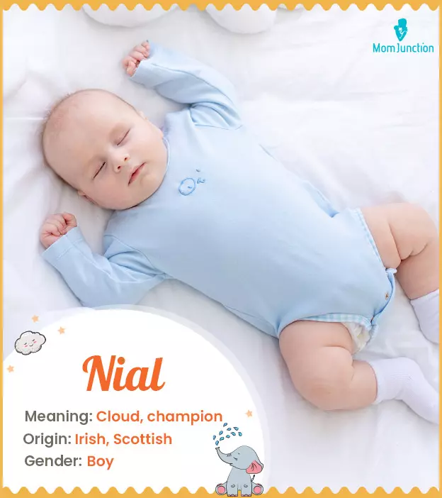 Nial Name, Meaning, Origin, History, And Popularity
