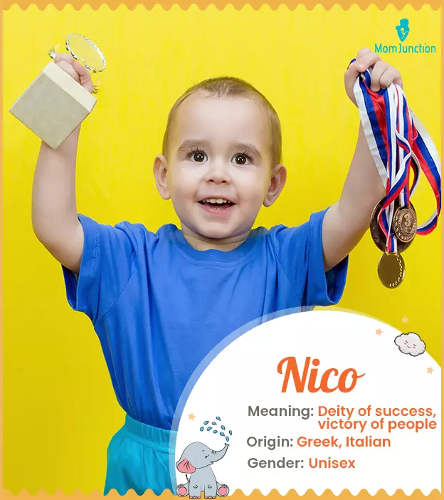 Nico Name Meaning, Origin, History, And Popularity