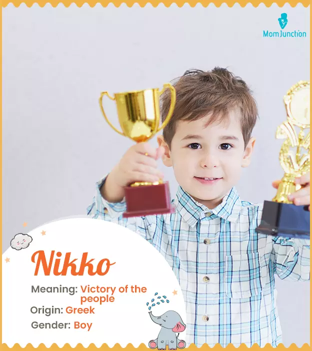 Explore Nikko: Meaning, Origin & Popularity