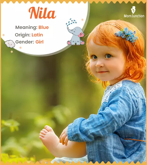 Nila Name Meaning, Origin, History, And Popularity