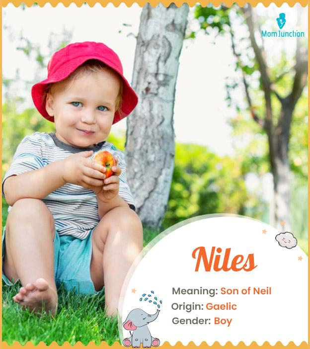 Niles Name Meaning, Origin, History, And Popularity