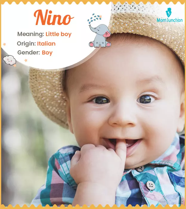 Nino Name, Meaning, Origin, History And Popularity