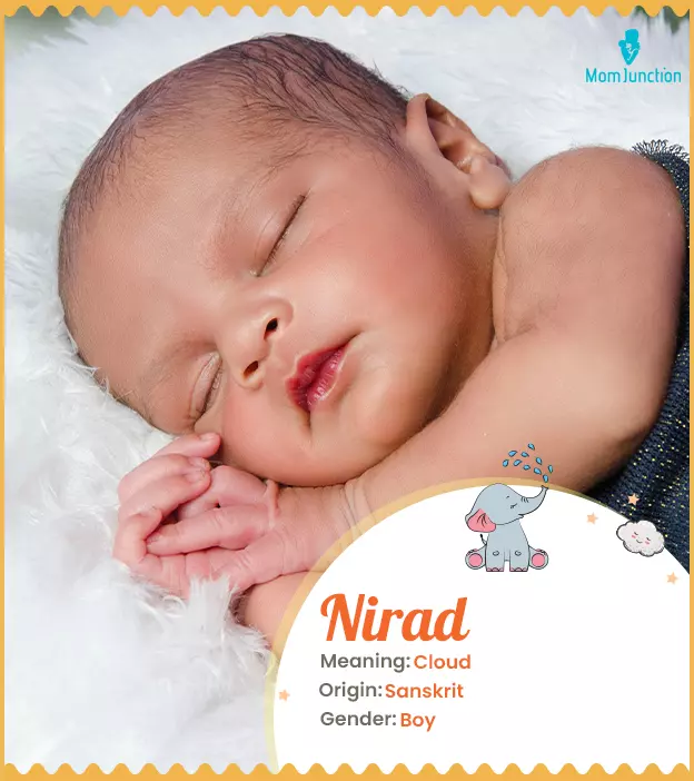 Explore Nirad: Meaning, Origin & Popularity