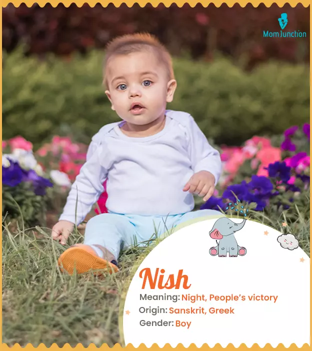 Explore Nish: Meaning, Origin & Popularity
