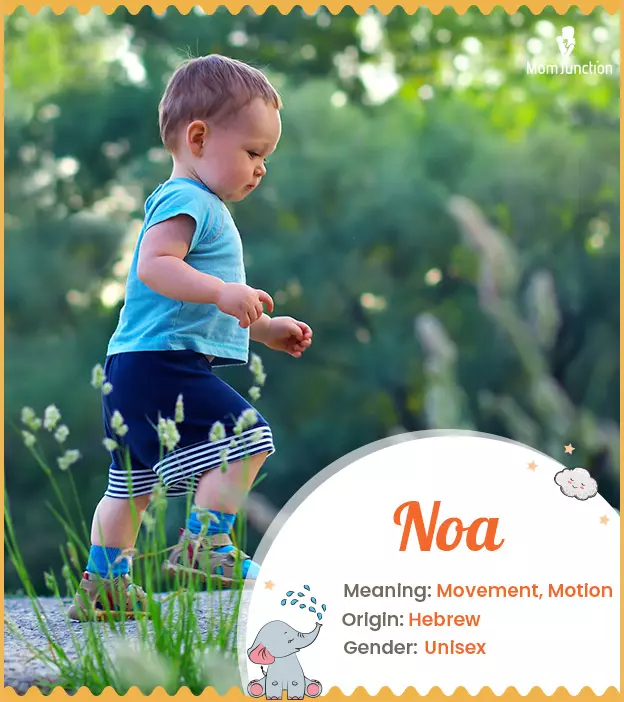 Noa Name Meaning, Origin, History, And Popularity