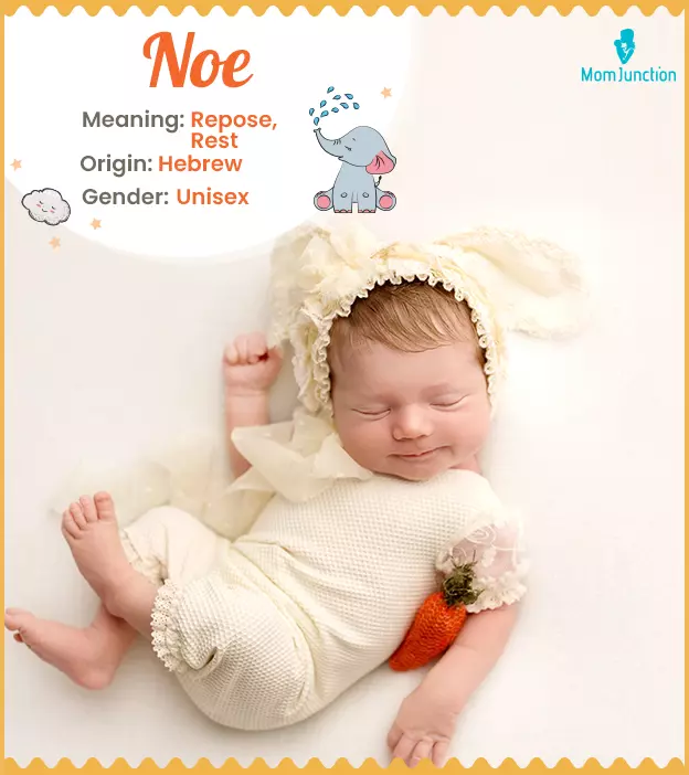 Noe Baby Name Meaning And Origin: Comprehensive Guide