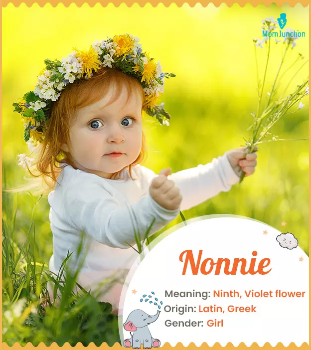 Nonnie Name Meaning, Origin, History, And Popularity