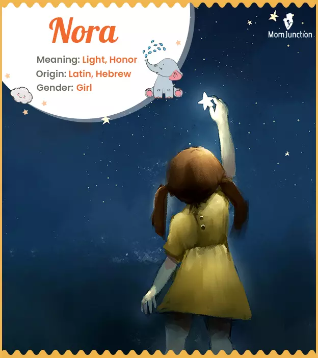 Nora Name Meaning And Origin: 6 Variations And Popularity