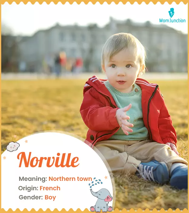 Norville Name, Meaning, Origin, History, And Popularity