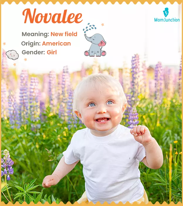 Novalee Name Meaning, Origin, History, And Popularity