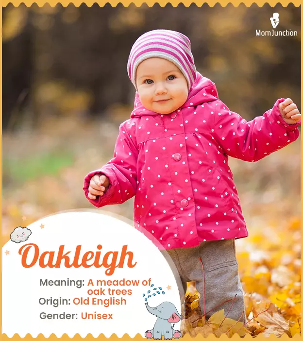 Oakleigh Name Meaning And Origin: Comprehensive Guide For 2025