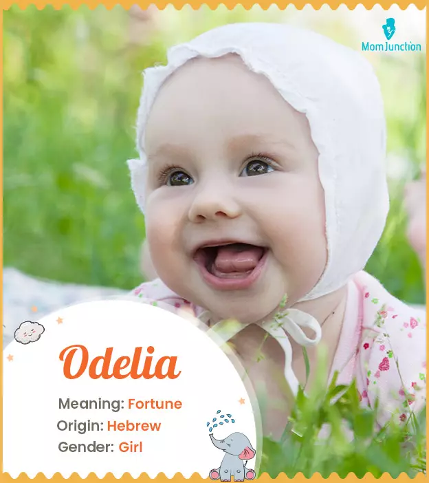 Odelia Name Meaning, Origin, History, And Popularity