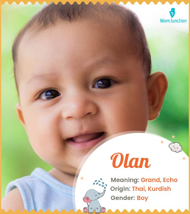Aelin Baby Name: Meaning, Origin, Popularity
