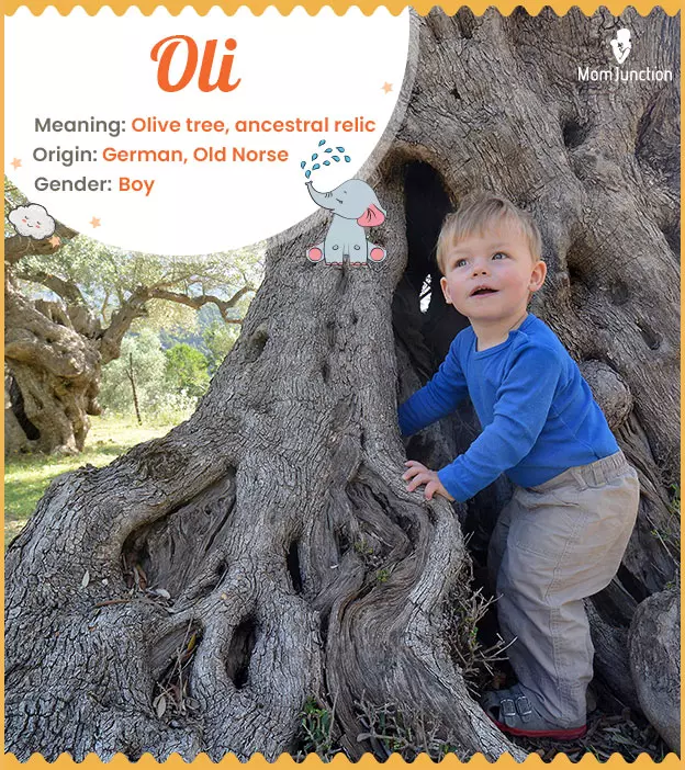 Oli Name Meaning, Origin, History, And Popularity