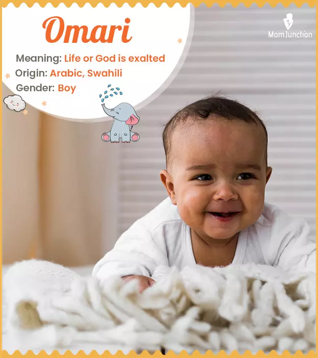 Omari Name Meaning, Origin, History, And Popularity