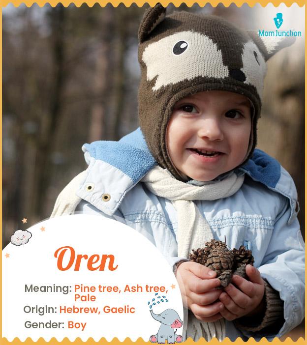 Oren Name Meaning, Origin, History, And Popularity