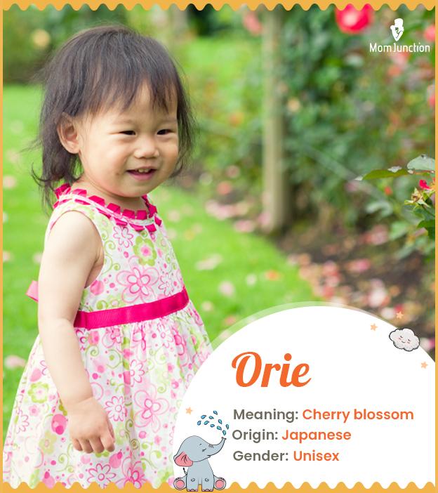 Explore Orie: Meaning, Origin & Popularity