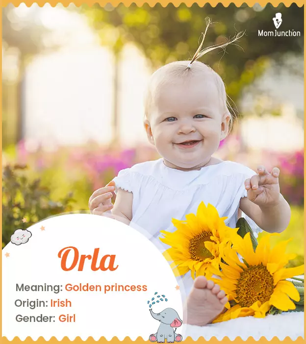 Orla Name Meaning And Origin: A Comprehensive Guide