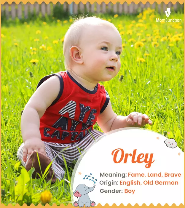 Orley Name, Meaning, Origin, History, And Popularity