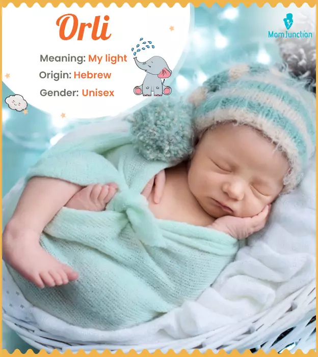 Orli Name Meaning, Origin, History, And Popularity