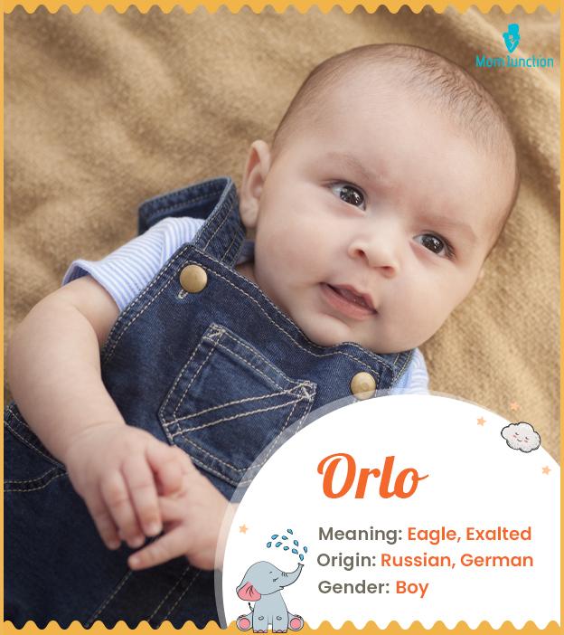 Explore Dio: Meaning, Origin & Popularity