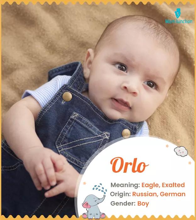 Explore Orlo: Meaning, Origin & Popularity
