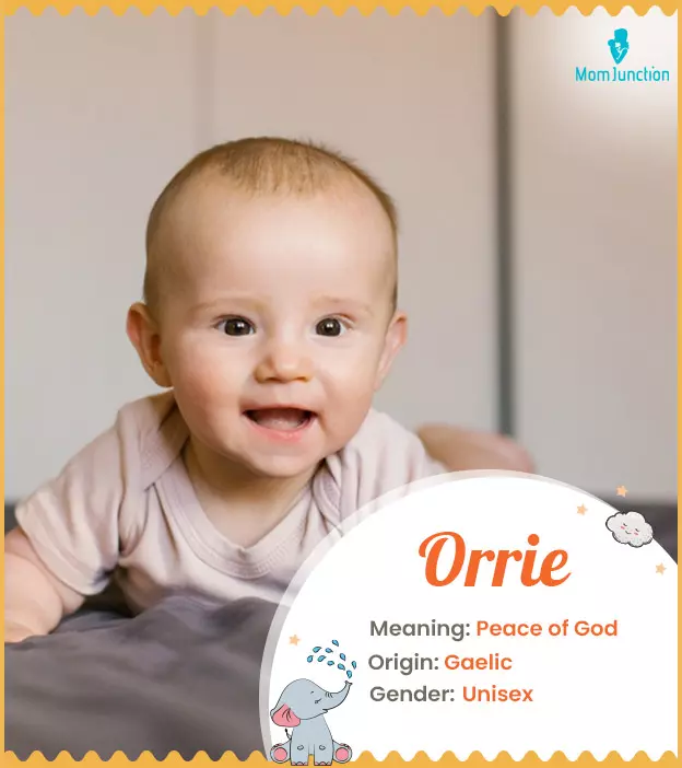 Orrie Name Meaning, Origin, History, And Popularity