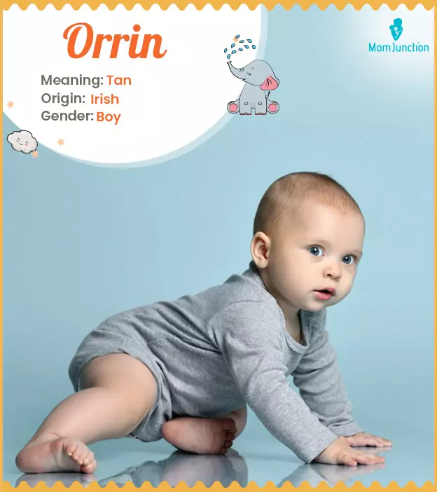 Explore Orrin: Meaning, Origin & Popularity