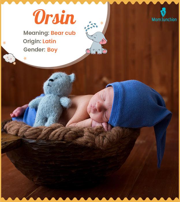 Orsin Name Meaning, Origin, History, And Popularity