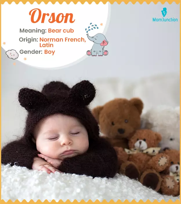 Orson Name Meaning, Origin, History, And Popularity