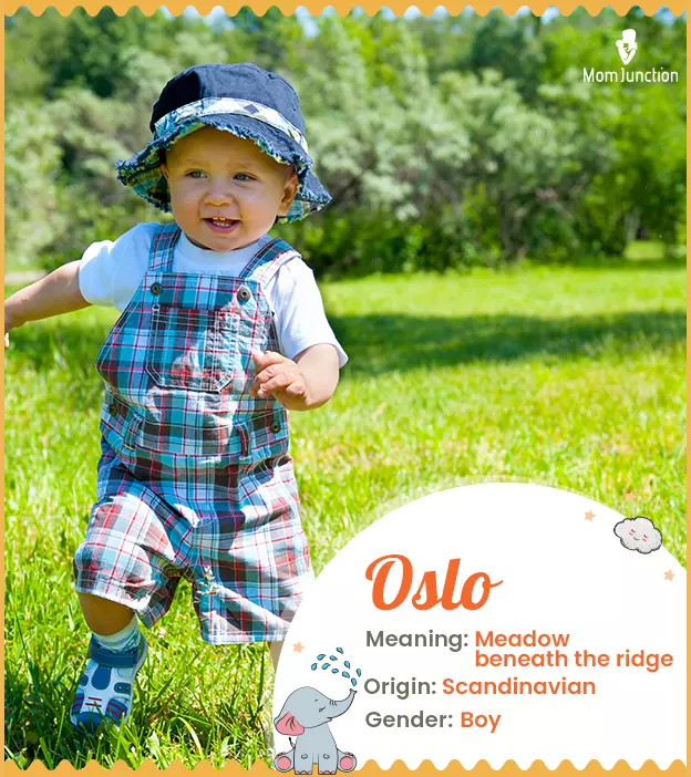 Oslo Name Meaning, Origin, History, And Popularity