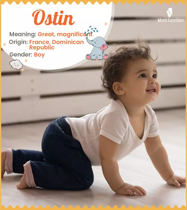 Ostin Name Meaning, Origin, History, And Popularity